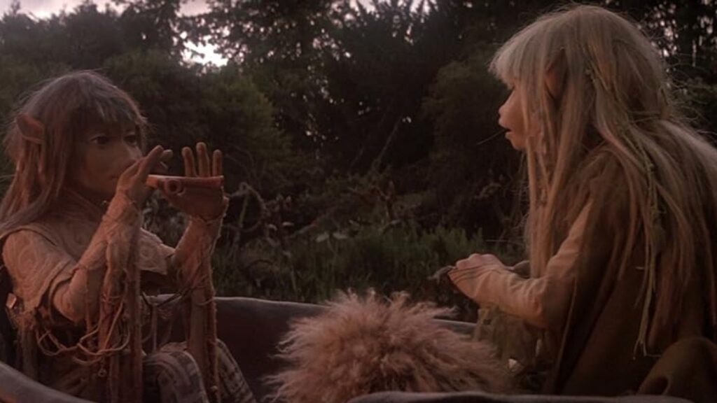 Delirium Ensues – 19 Movies That Are Too Insane For Words – flicksphere.com