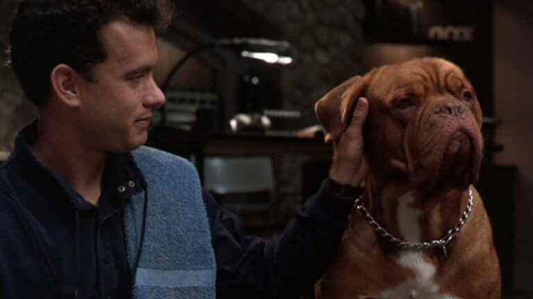 18 Classic ’80s Comedies That Are Hilarious Even Today After All These ...