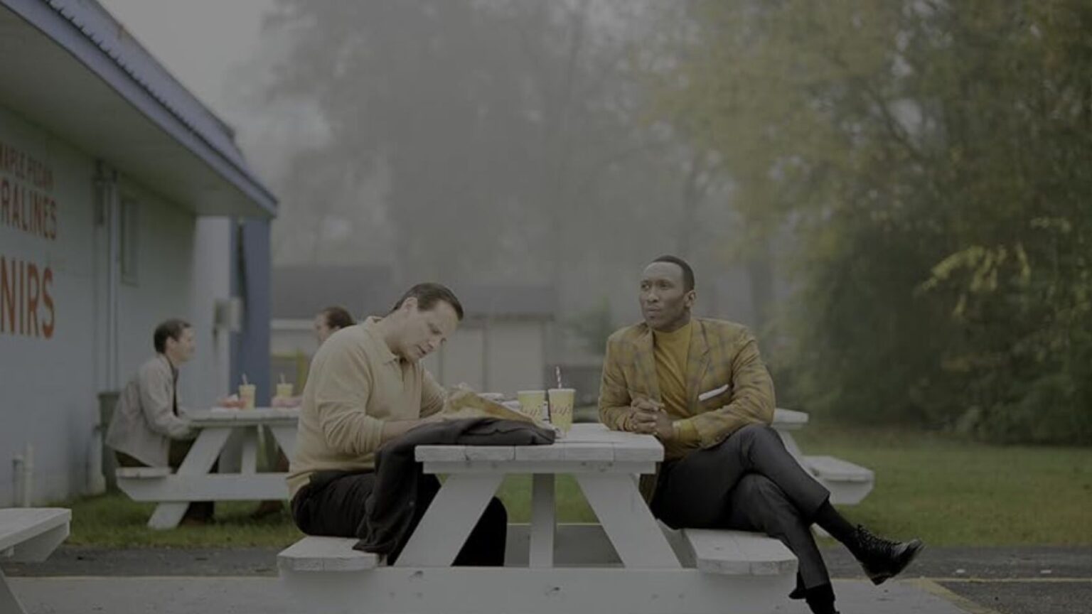 18 White Savior Films That Missed the Mark and Need an Overhaul ...