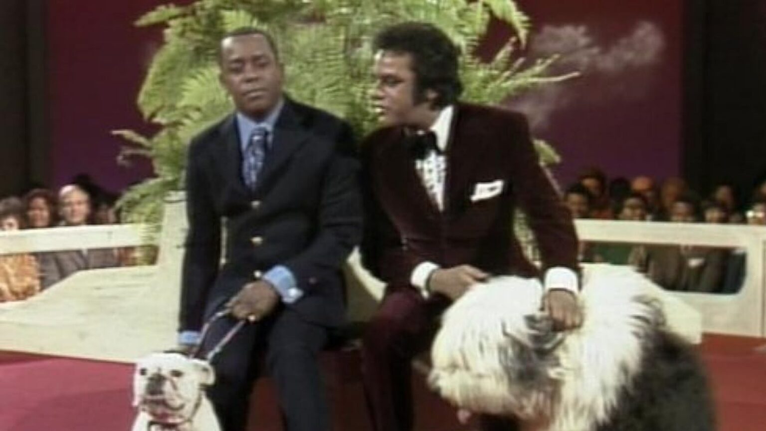 18 Edgy ’70s Comedies That Ignored Political Correctness – flicksphere.com